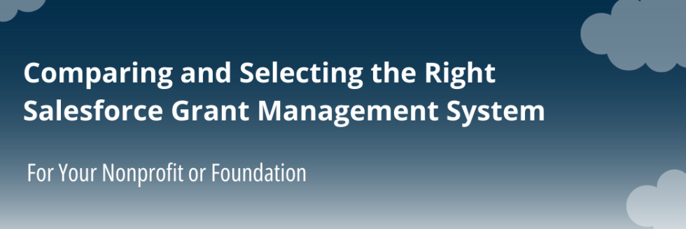 Salesforce GMS Comparison Whitepaper - North Peak Solutions